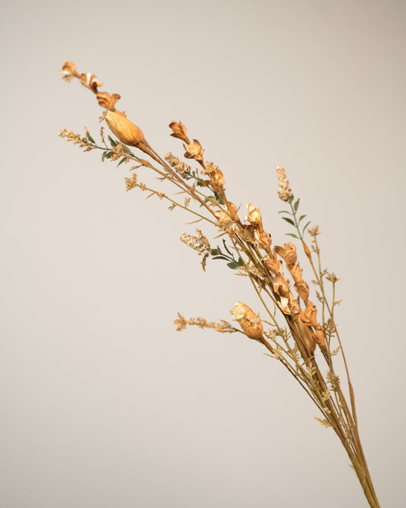 Vazen & Bloemen – Things I Like Things I Love